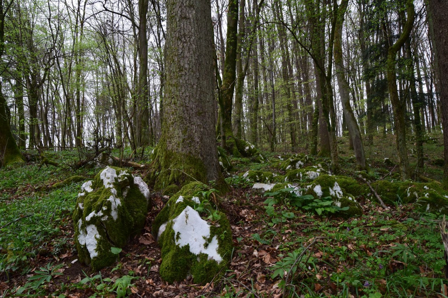 Grad Jable - Čas za izlet