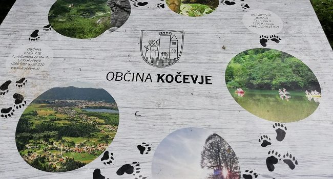Kočevje in Kočevsko jezero – Čas za izlet